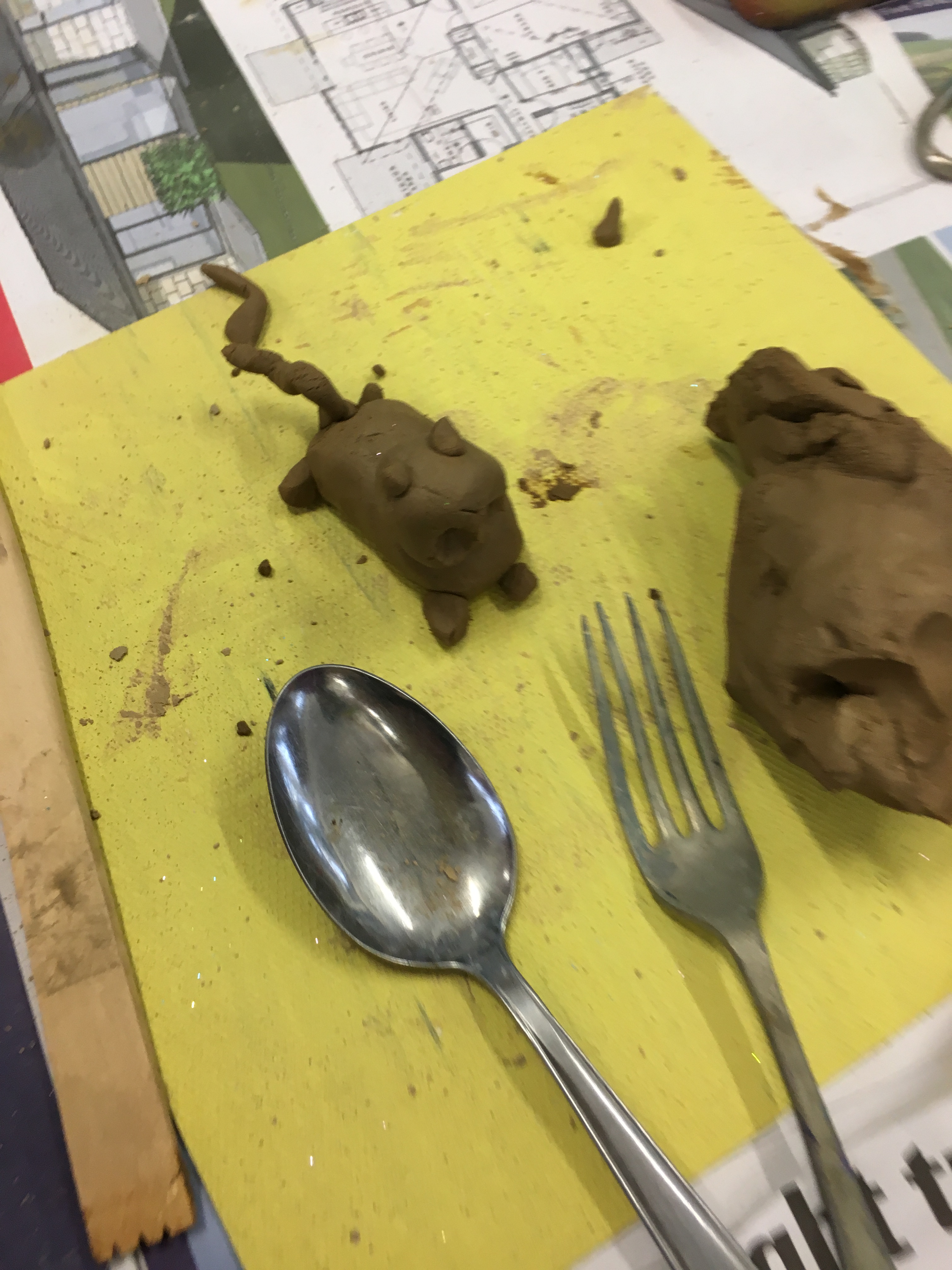 Passion Projects – Waitati School