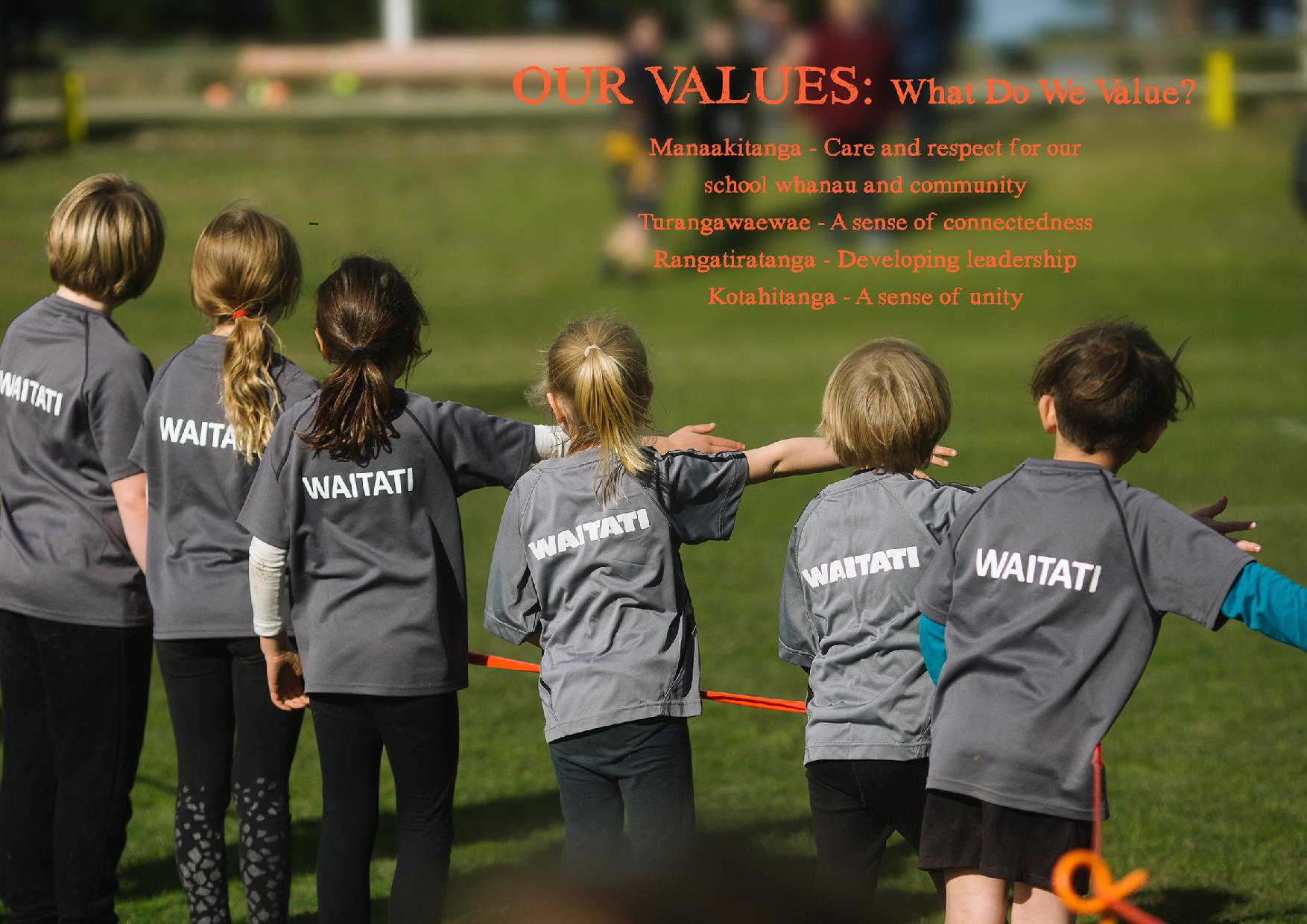 Strategic Plan – Waitati School