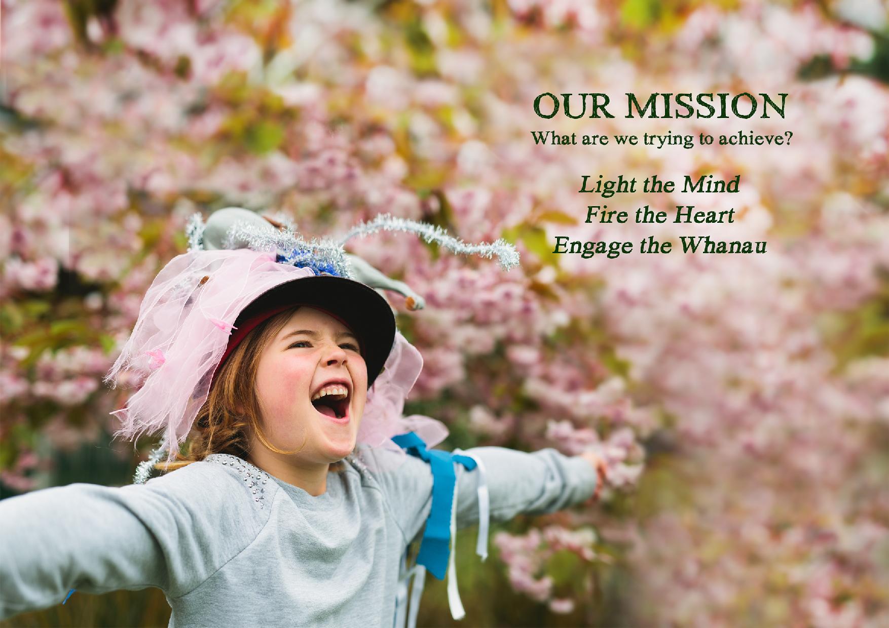 Strategic Plan – Waitati School